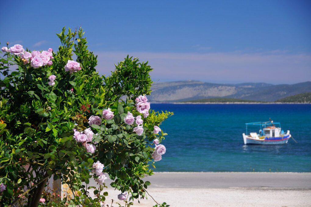 Lilianna: Ενοικιαζόμενα Διαμερίσματα Ερμιόνη